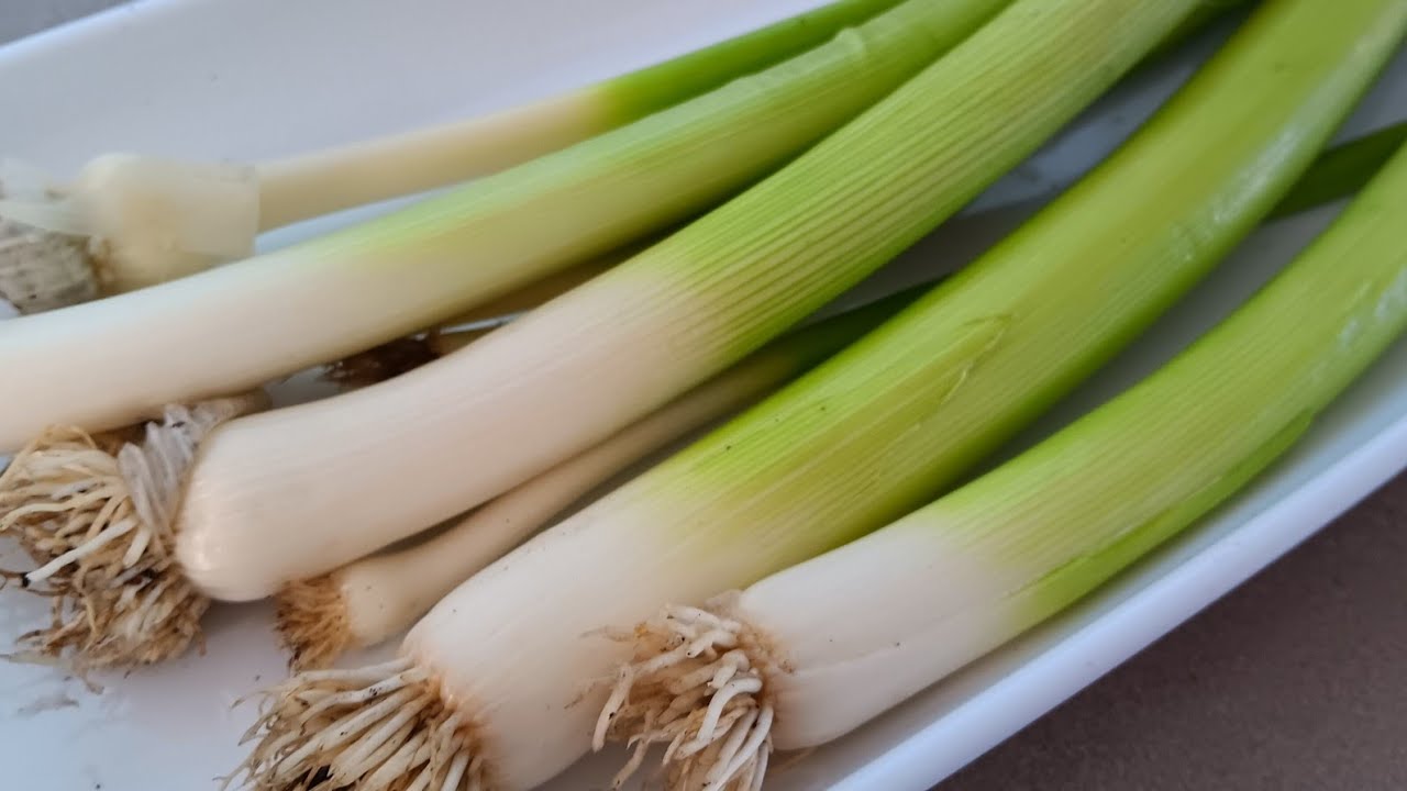Growing leeks in containers on a patio - YouTube