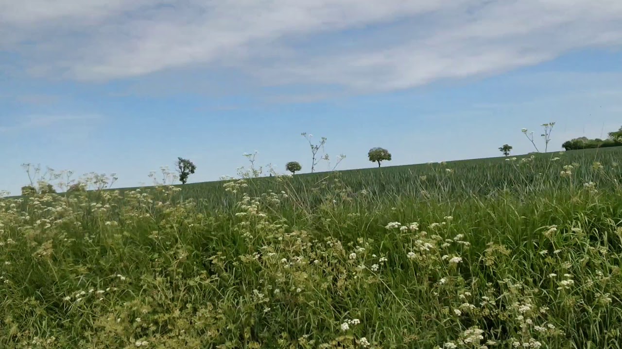 One shot example HD - YouTube