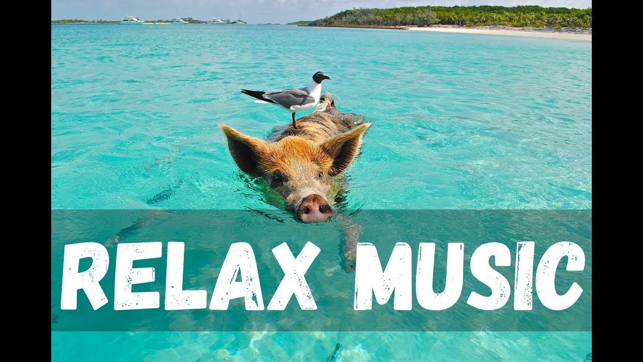 Relax music: beautiful soothing melody with the sound of the ocean for ...