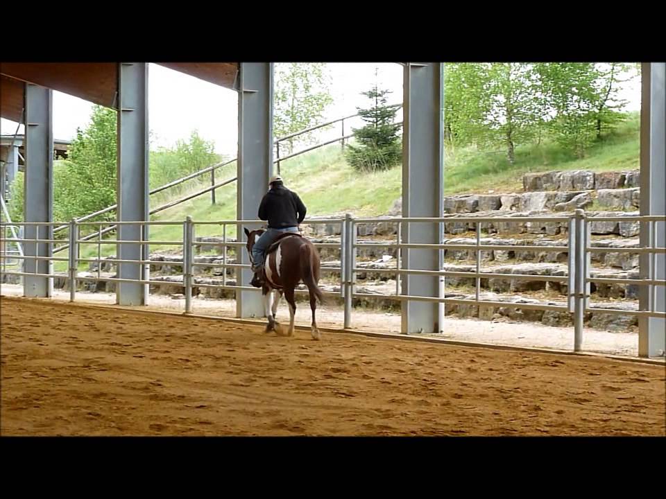 Training Ranch Horse Pleasure - YouTube