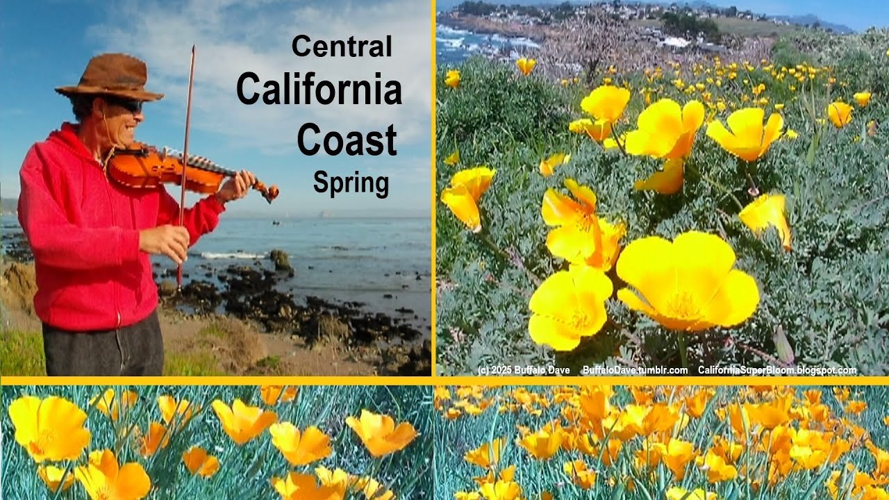 California Central Coast Travel – Spring Bloom - YouTube