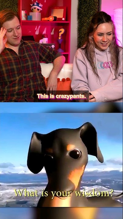 🔉 This is not a drill; new dog of wisdom just dropped!!! 🐕🥪🐜 #internet #memes #meme #podcast # ...