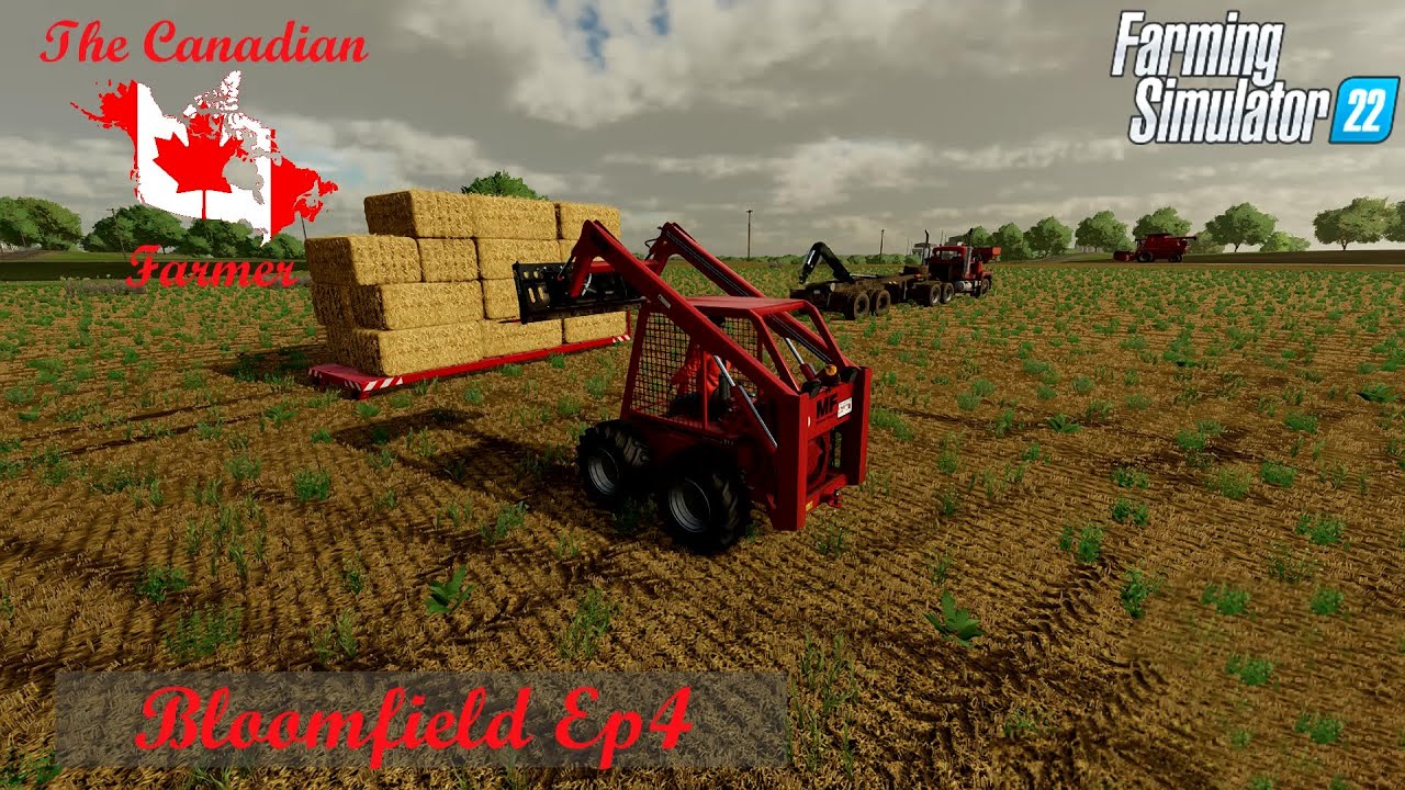The Canadian Farmer Ep4 | Bloomfield | Sorghum | Bailing Straw | FS22 ...