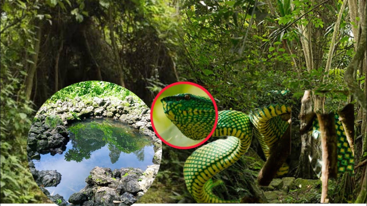 Habamo ikiyoka kinini, Amateka y'Iriba rya Buhanga na Bikara ...