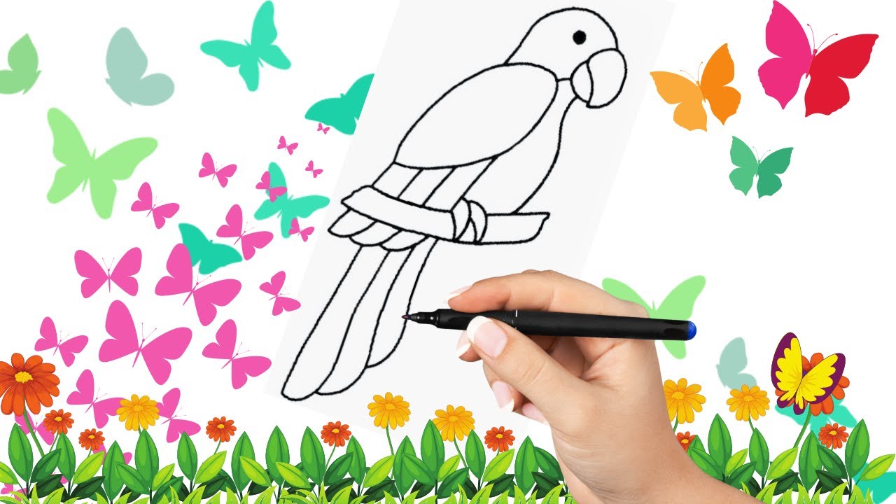 How to draw parrot | Drawing the parrot cute | Draw cute things - YouTube