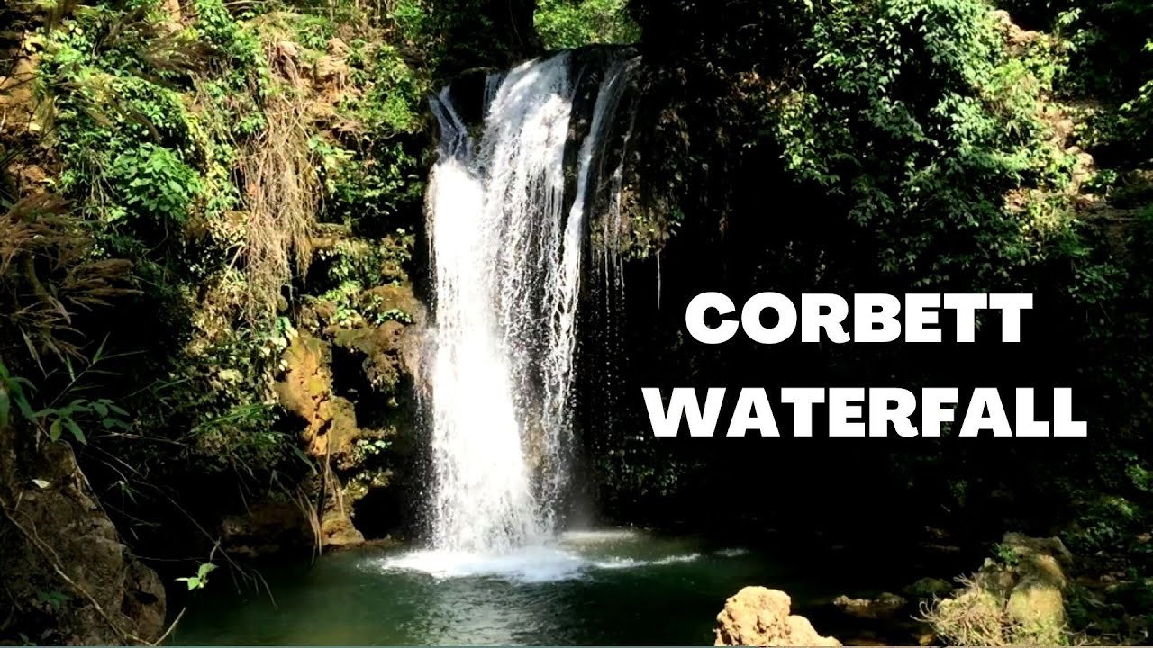 Corbett Waterfall || Corbett Eco Park in Kaladhungi || Ramnagar ...