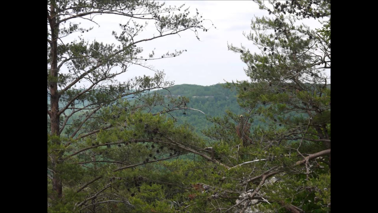 Pickett State Forest Overlooks - YouTube
