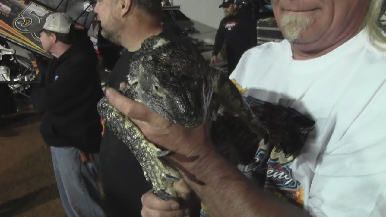 (Pit Lizard Edition) Williams Grove Speedway World of Outlaws ...