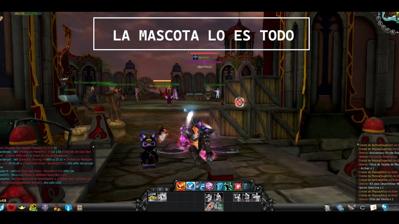CABAL ONLINE NA - LA MASCOTA LO ES TODO - MI PRIMER ACIERTO - YouTube