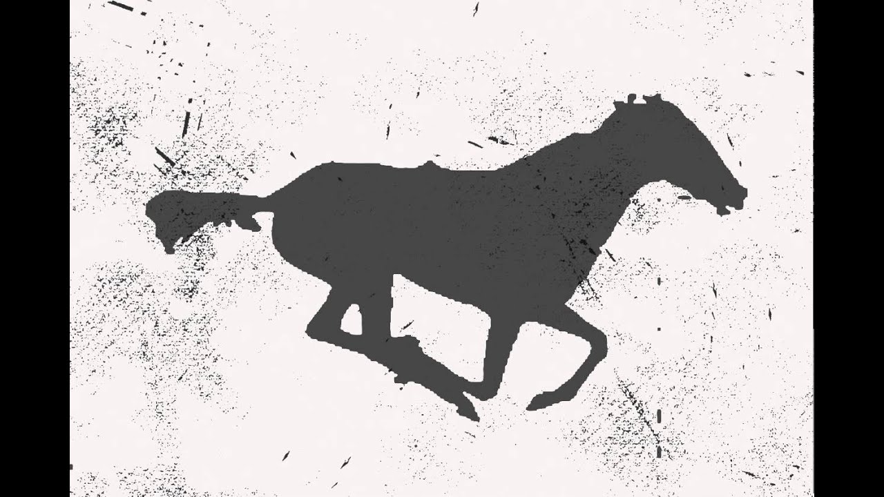 Horse runs BW JUMP FRAMES - YouTube