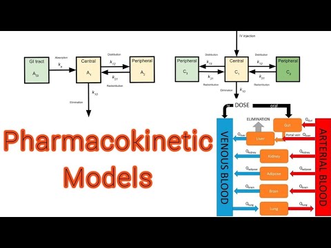 Pharmacokinetic models: Compartment model, Physiological model, Non ...