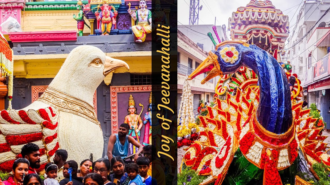 #TTV975 | Joy of Jeevanahalli at Day | Jeevanahalli Car Festival 2023 ...