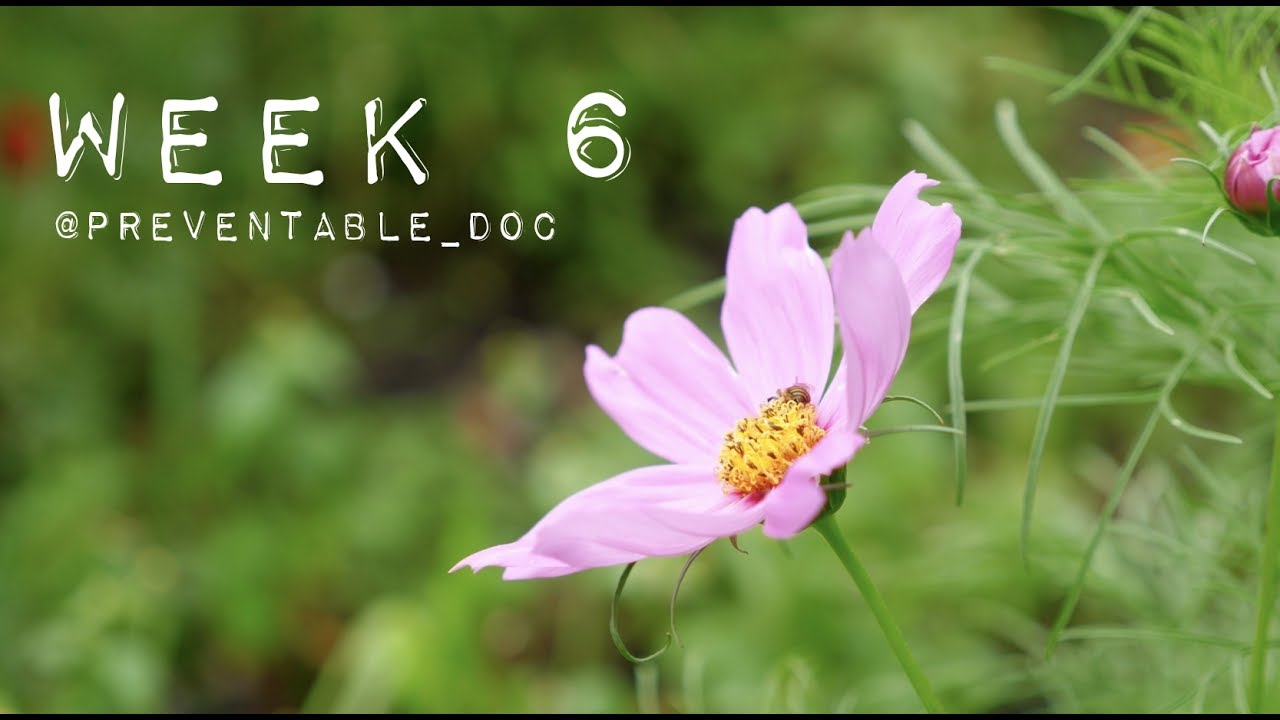 PREVENTABLE DOCUMENTARY: WEEK SIX (Red Skin Syndrome/TSW & Skin Health ...