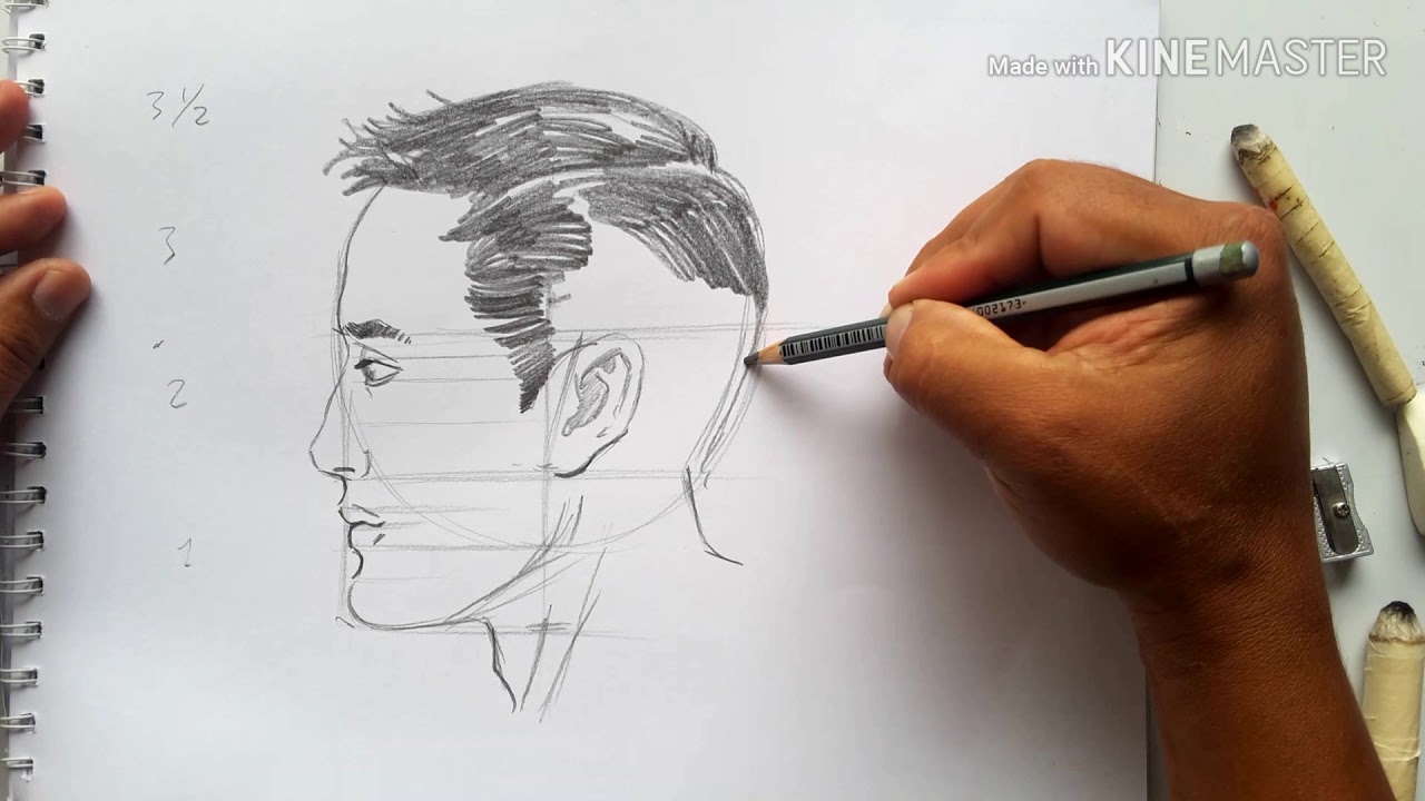 Construcción del rostro de perfil, paso a paso. - YouTube