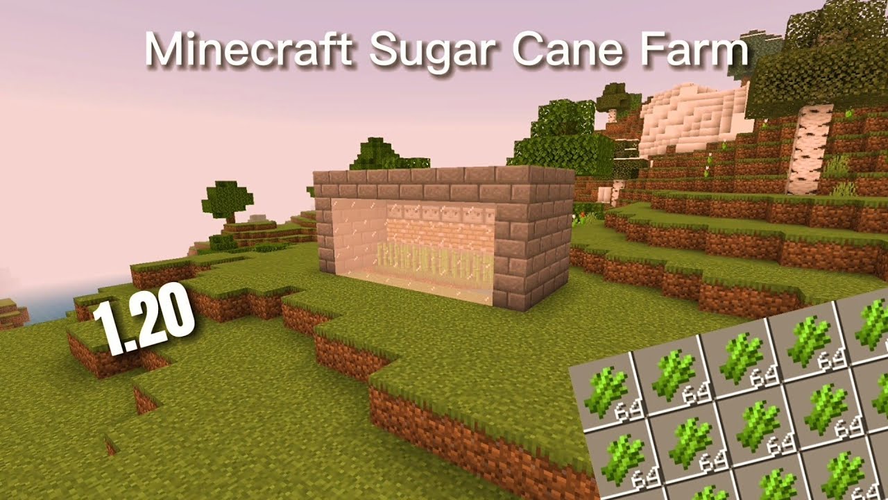 Minecraft Easy Sugar Cane Farm 1.20! Tutorial - YouTube