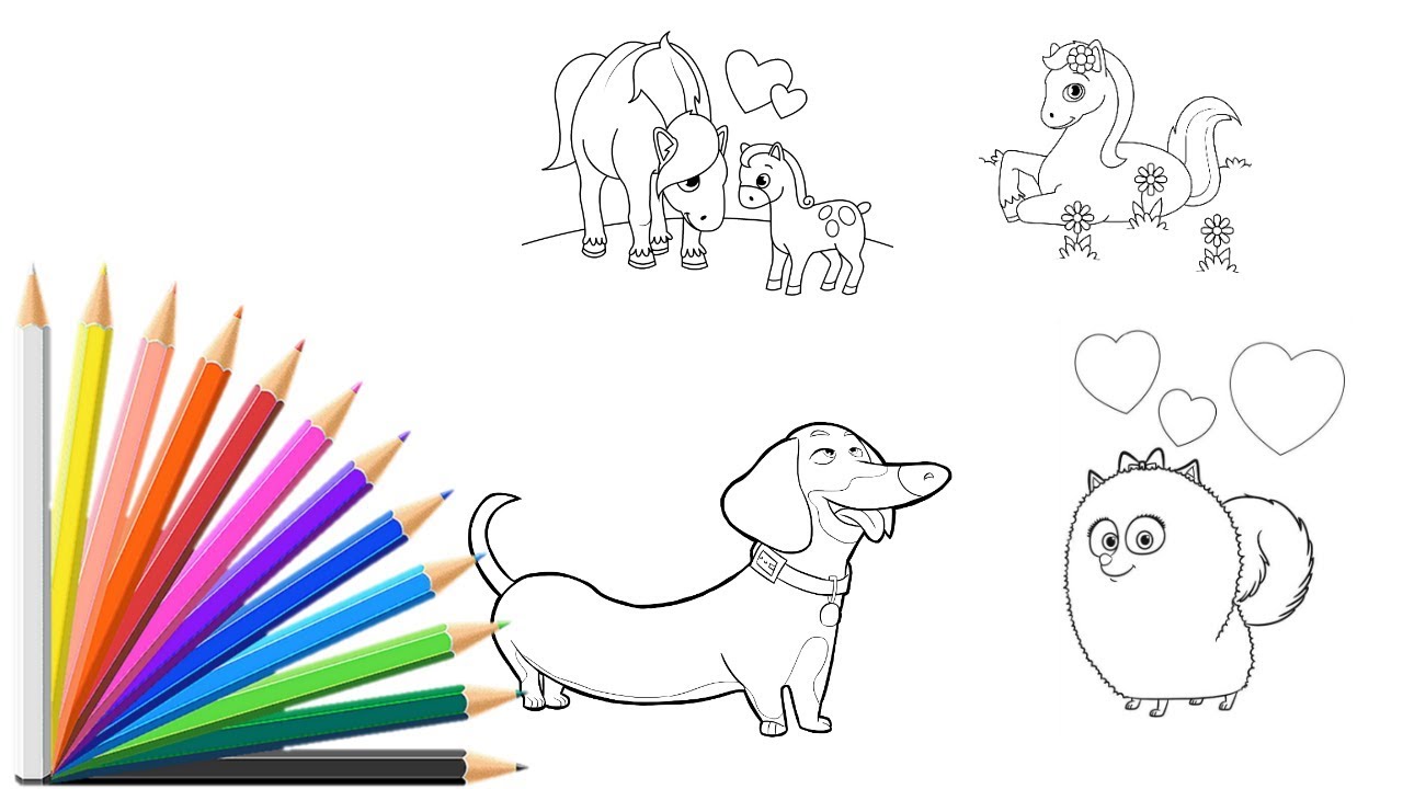 Horse and foal/Horse in flowers/Dachshund Buddy/Spiez Gidget. Coloring ...