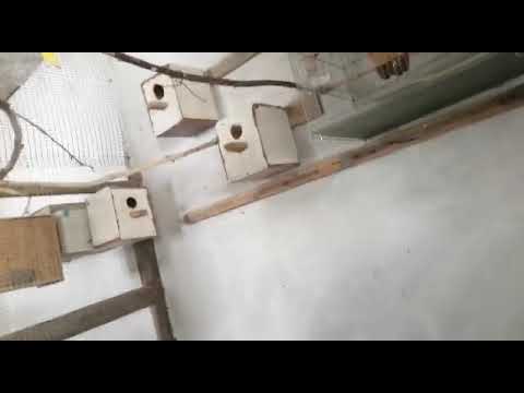 Tutuqusu Tel. 051-839-15-58