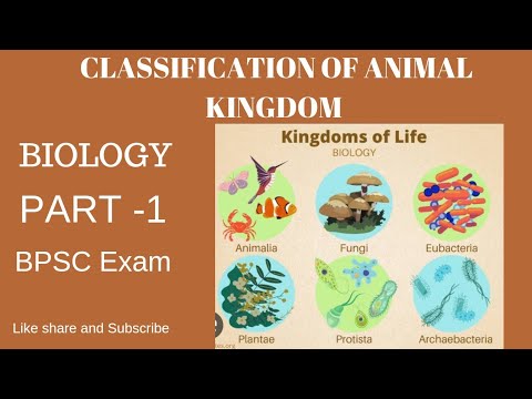Classification of animal kingdom// How organisms are classified. - YouTube