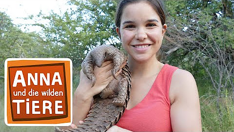 Anna und die wilden Tiere - YouTube