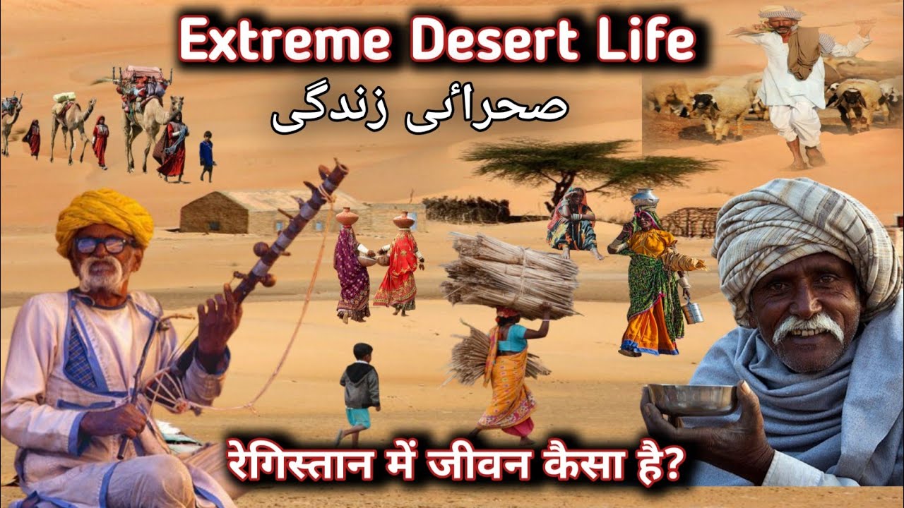 Extreme Desert Life 😲 | रेगिस्तान में जीवन कैसा है? | Cholistan Life 🇵🇰 ...