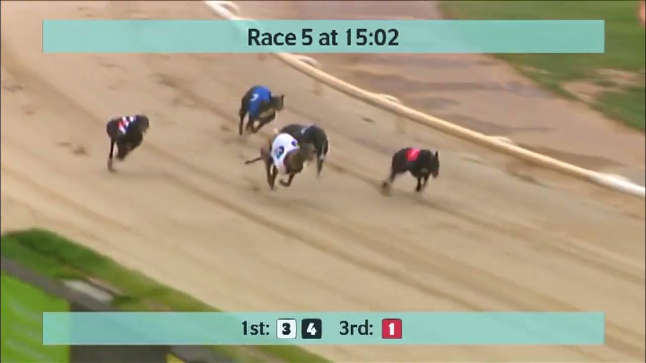 Monmore Greyhounds Races on 31st May 2023 - YouTube Monmore Greyhounds Races on 31st May 2023 - YouTube