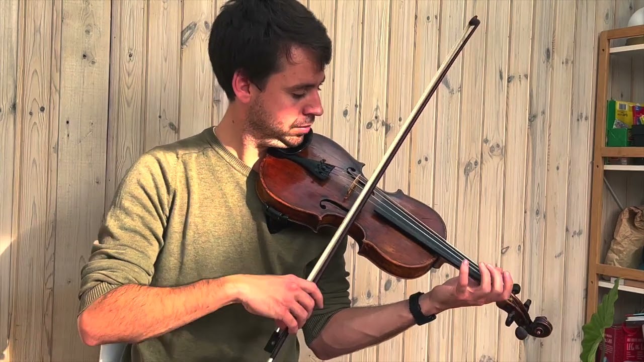 The Hawk Chords - Chordify