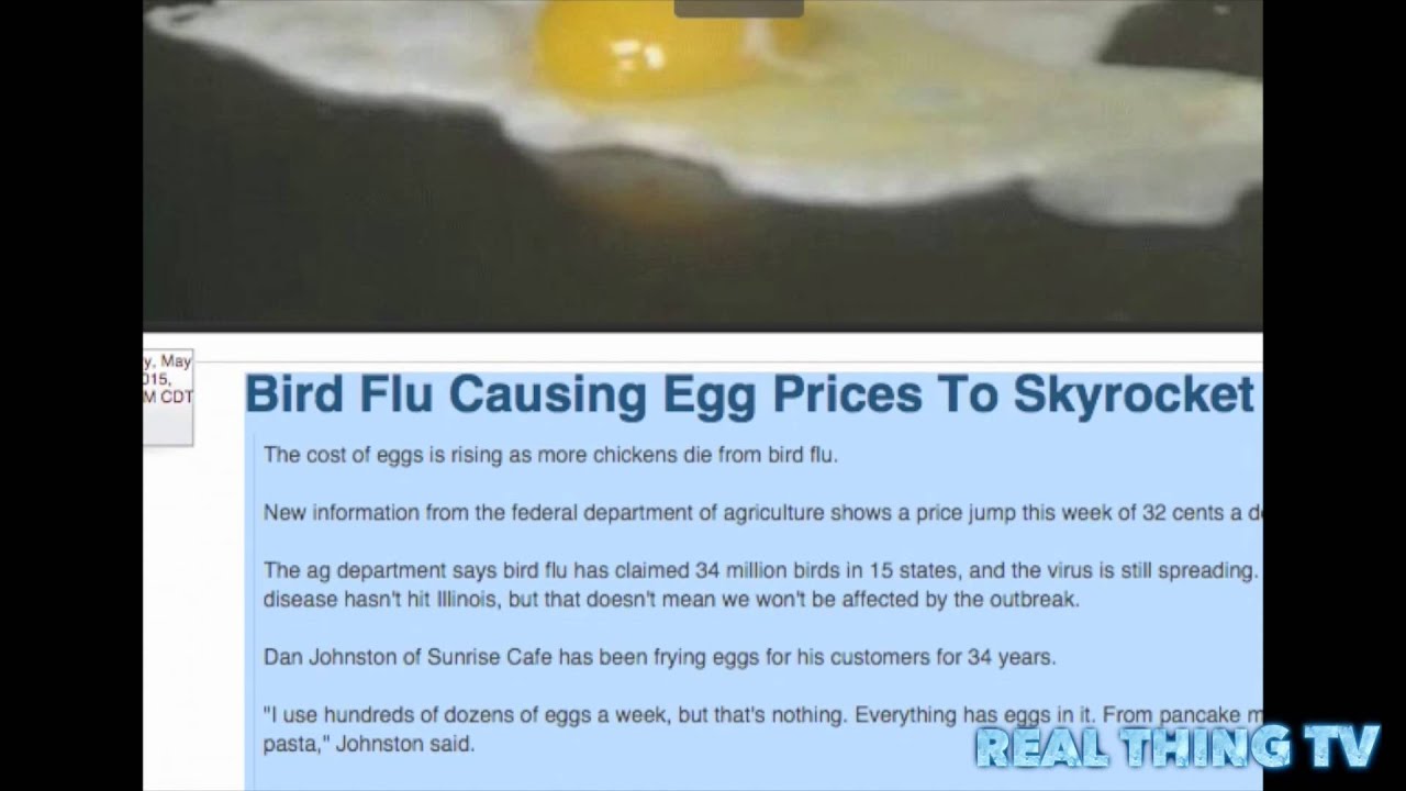 Bird Flu Causing Egg Prices To Skyrocket - YouTube