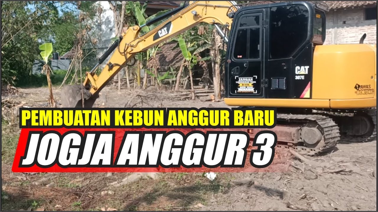 Pembuatan kebun anggur baru - YouTube
