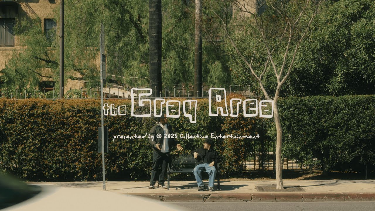 the GRAY AREA. - YouTube