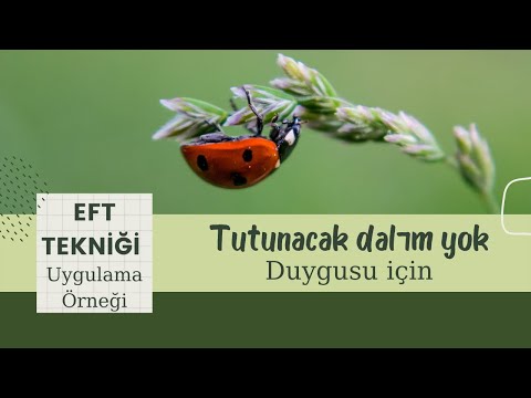 “Tutunacak dalım yok” duygusu için EFT Tekniği Uygulama Örneği
