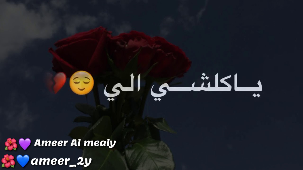 اريد اخلي حبه💛😴 نبر وان 🙊 مع الكلمات الايك الفيديو Youtube