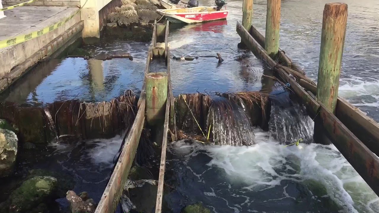 Hurricane Irma: Seminole Boat Ramp Coconut Grove Florida. - YouTube