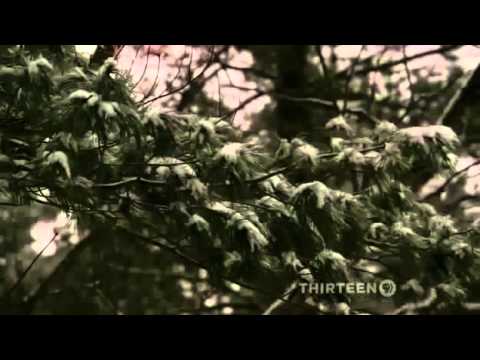 The War Of 1812 - history/ discovery/military [documentary]The War of ...