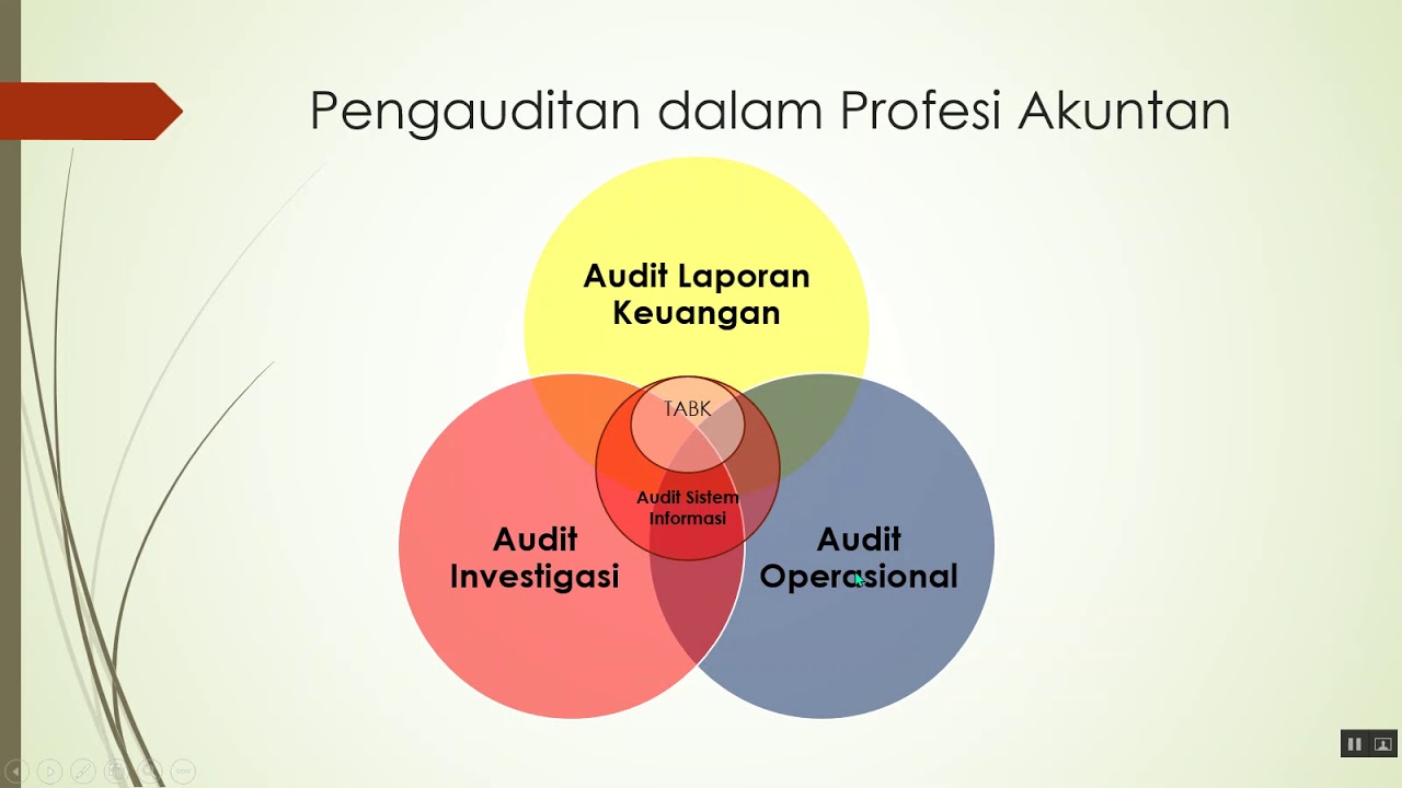 TM0102 Peran Pengauditan - YouTube