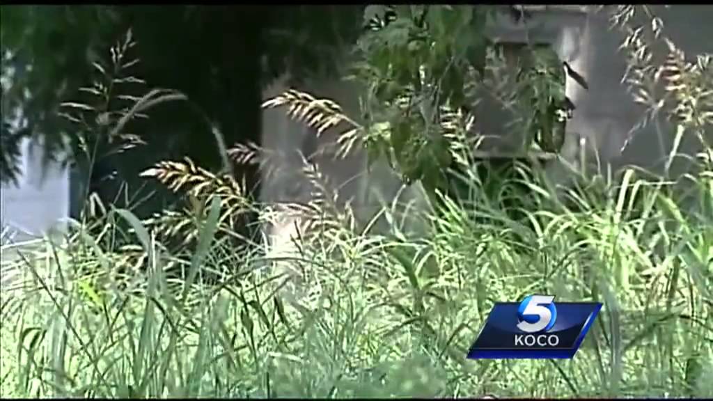 Tall grass complaint calls overwhelming code enforcers - YouTube