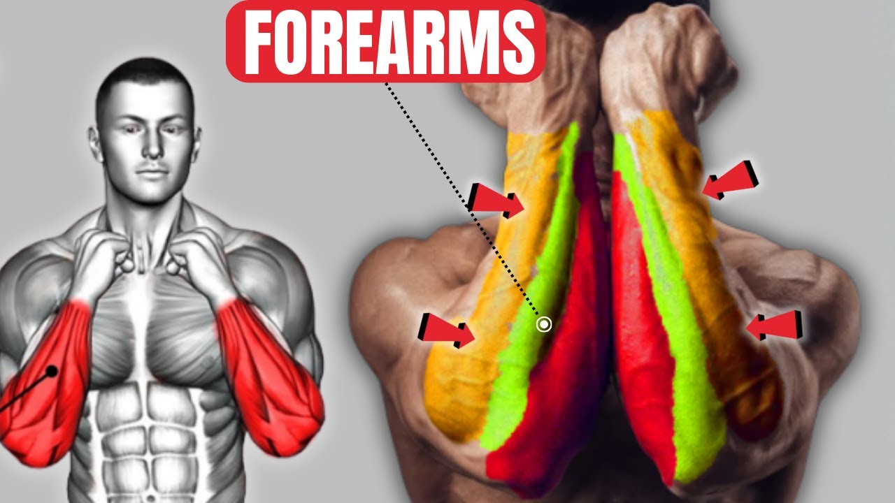 BUILD MASSIVE FOREARMS🔥🔥|| BEST FOREARMS WORKOUT💪 || FOREARMS EXERCISES ...