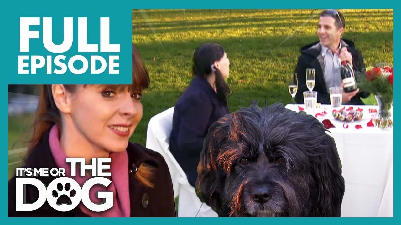 Valentine's Special: Victoria Sets up a Doggy Date | Full Episode USA - YouTube