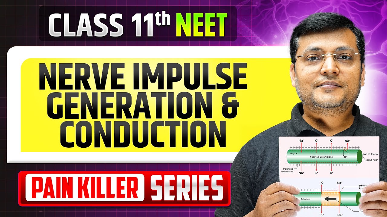Nerve impulse Generation & Conduction - From Basic to Advanced || NEET ...