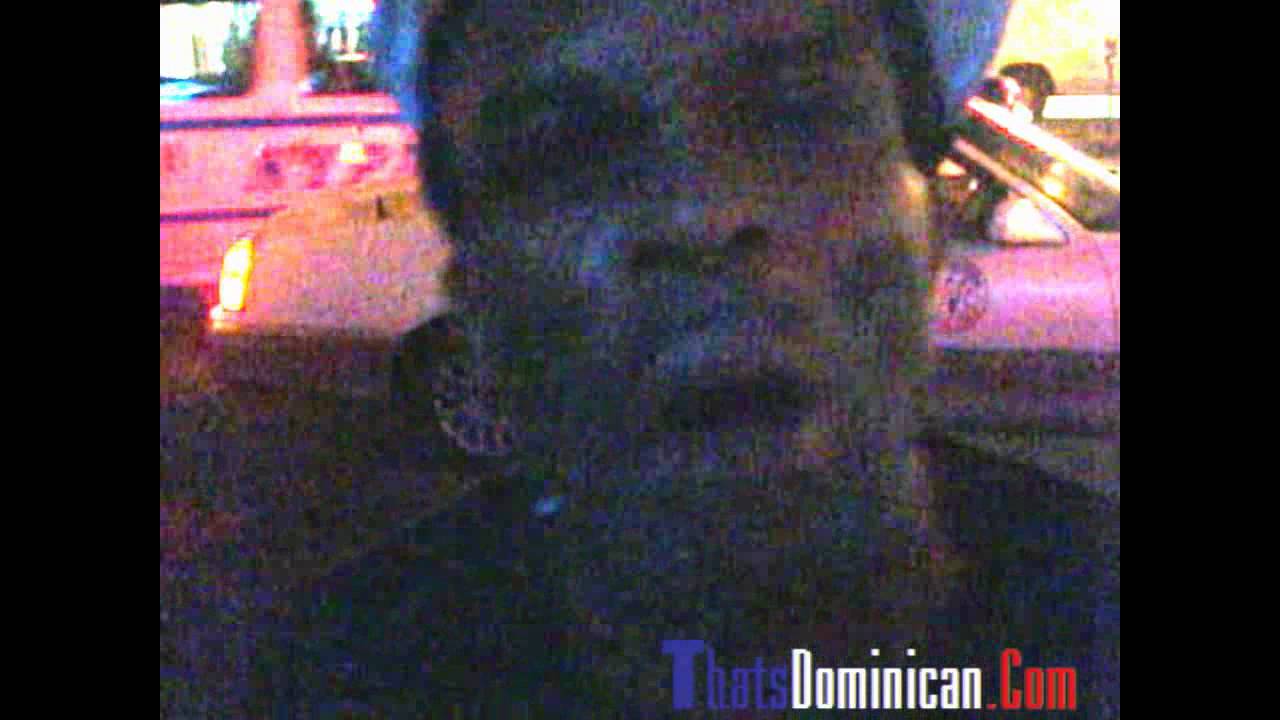 Ruperto Vanderpool for ThatsDominican.Com - YouTube