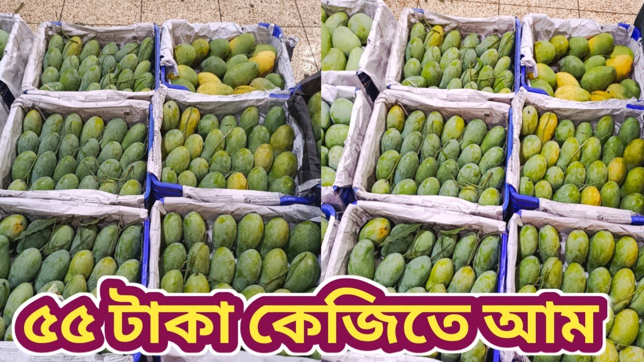 ৫৫ টাকা কেজিতে আম কিনুন | Mango wholesale market dhaka Jatrabari | Mango rate today | Mango ...