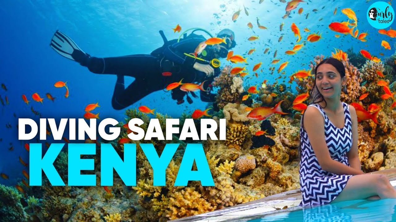 The Perfect Diving Safari At Diani, Kenya | Curly Tales - YouTube