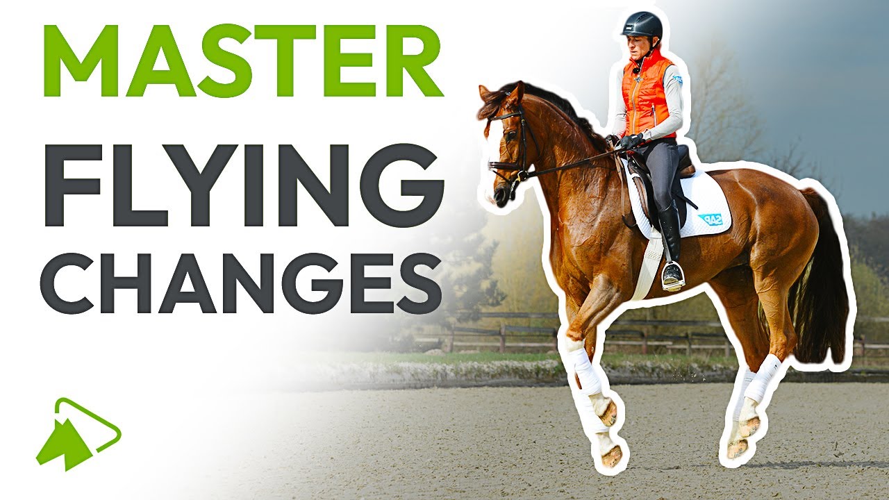 Teach Your Horse Flying Changes | 4 Perspectives from the Best Trainers ...