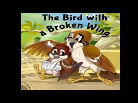 The Bird with the Broken Wing Story Time Read Aloud - YouTube