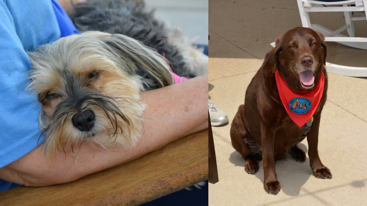 Rock a Thon '22 Promo - YouTube