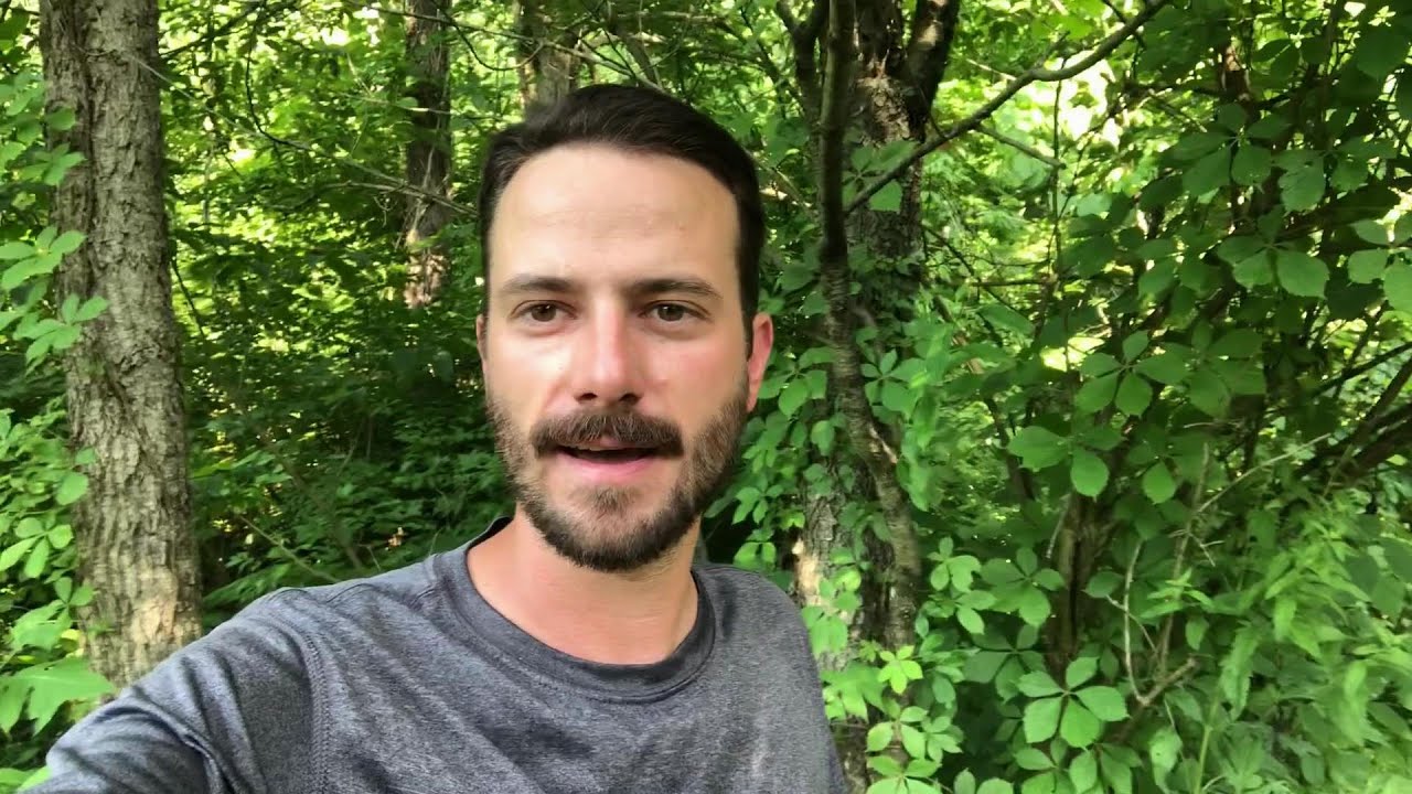 Aullwood Nature Walks with Sam Romeo: Summer Discovery Walk, July 2 ...
