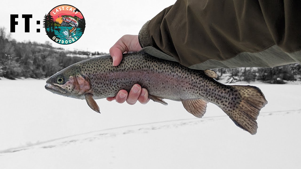 MULTI SPECIES Ice fishing in the UTAH MOUNTAINS! FT: @lastcastoutdoors ...