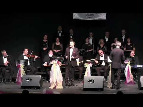 Fikret Yazıcı-Hasret Düştü Gönlüme