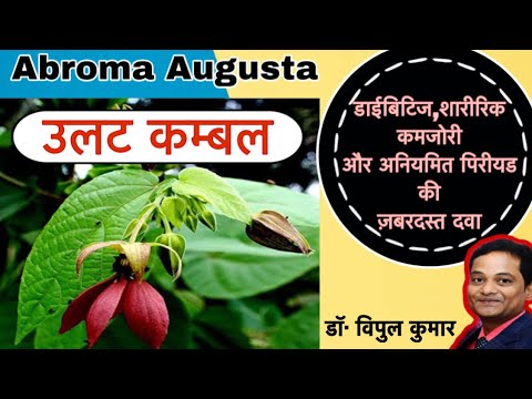 Abroma Augusta Q | Indian Homeopathic Medicine | Abroma Augusta Mother ...