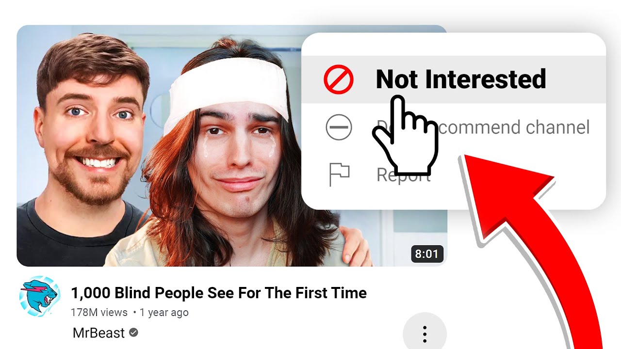 I Pressed "Not Interested" on 1,000 YouTube Videos - YouTube