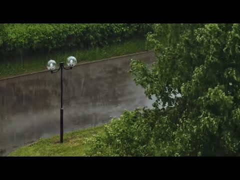 Tropical WIND on a RAINY Day-Rain and Thunder Sounds for SLEEP & Relaxation